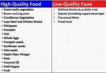 Does Running Burn Fat: With Helpful Tips To Loose Weight Faster! | Altinify