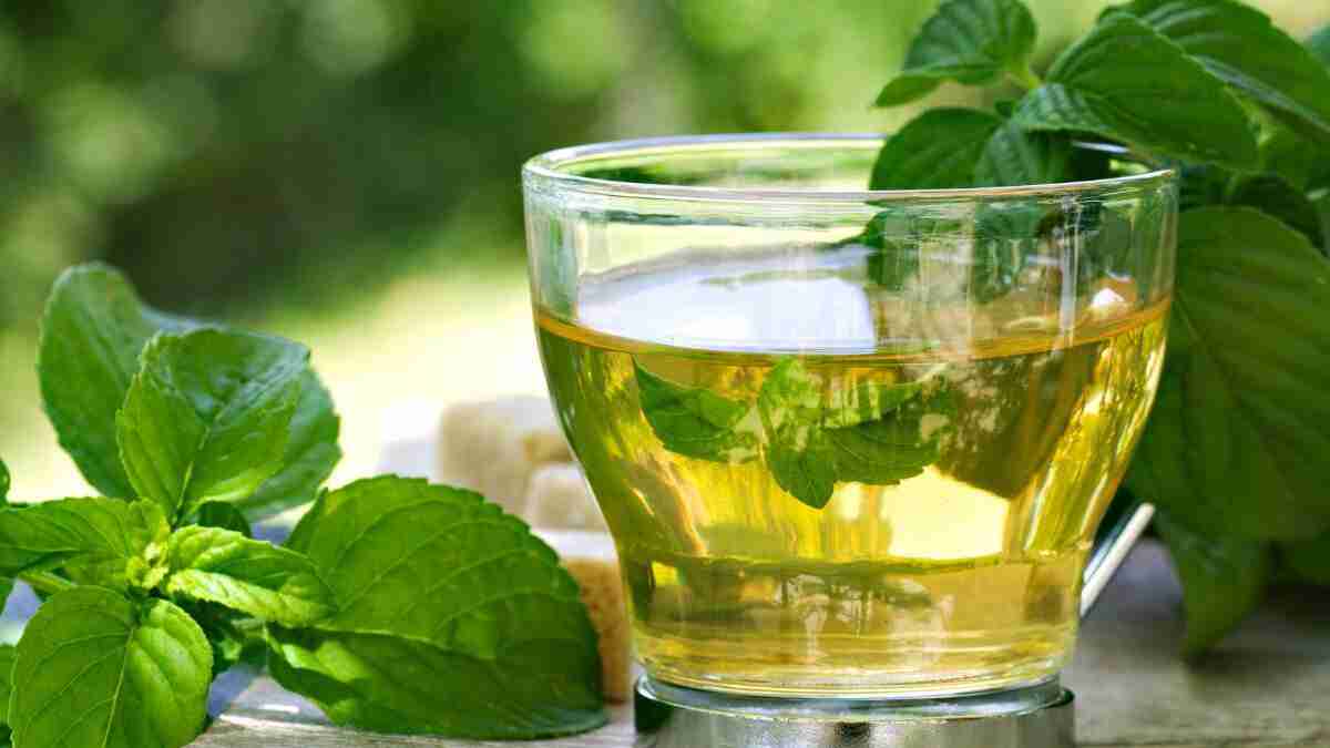 The Best Ten Teas For Weight Loss | Altinify