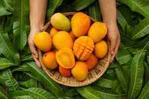 5 Health Benefits Of Eating Mango | Altinify