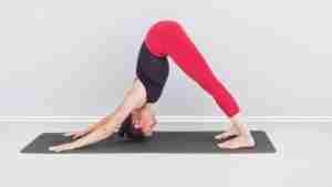 6 Yoga Poses For The Digestive System | Altinify