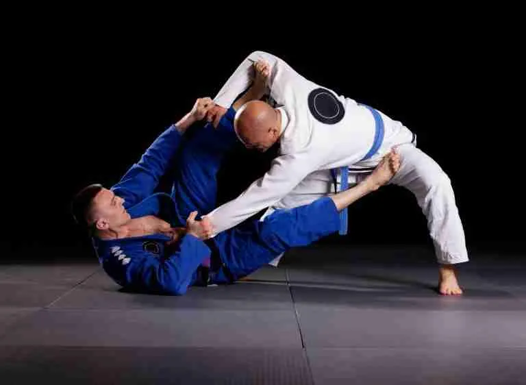 Jiu Jitsu Vs. Karate: Which One Is Better? | Altinify